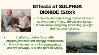 Air Pollution (1).pdf