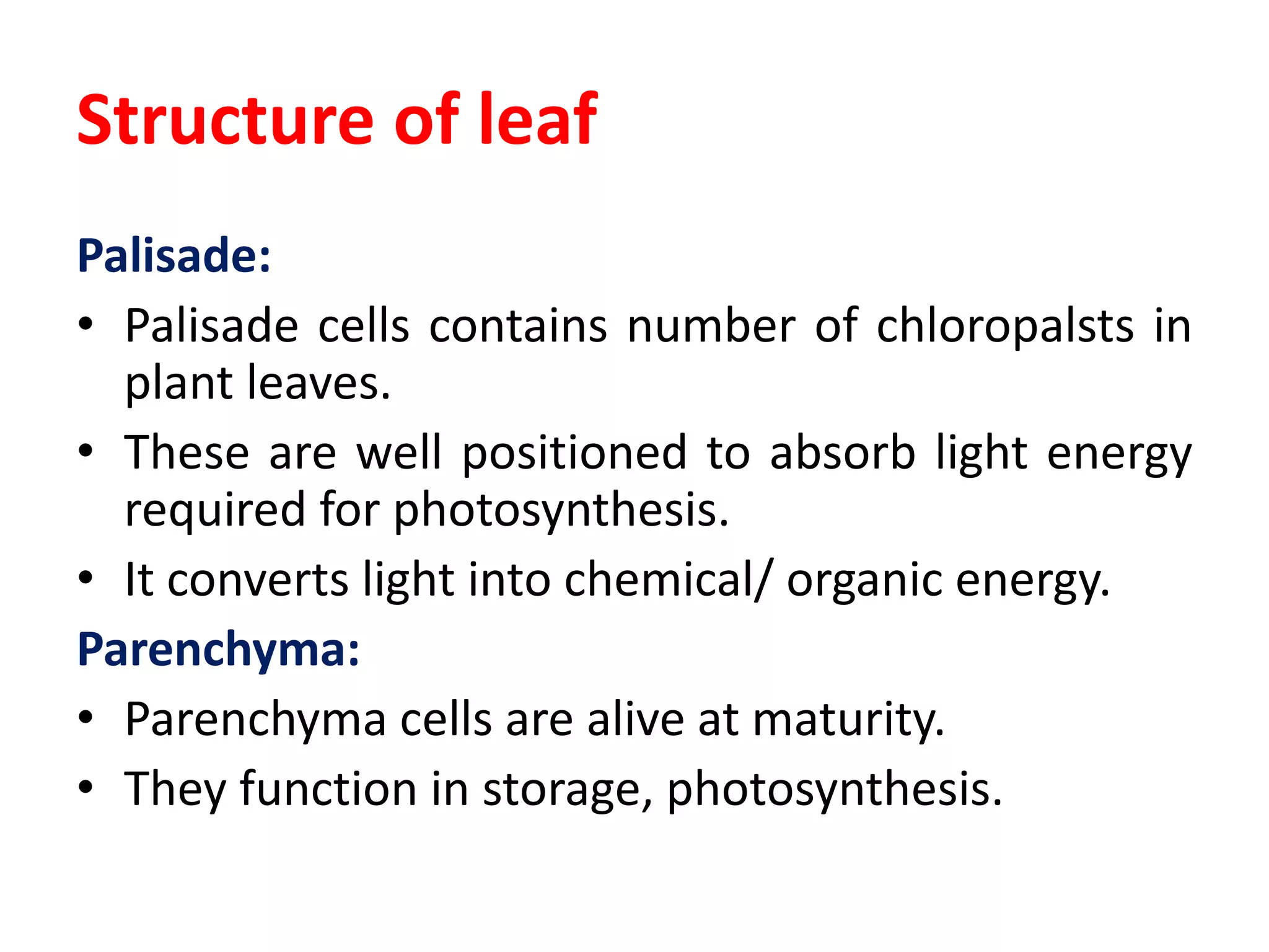 Effects of air pollutants on plants | PPTX