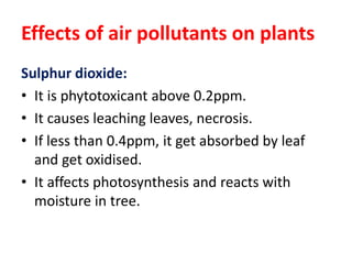 Air Pollution Effects On Plants