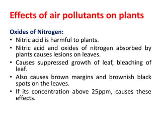 The Effects of Pollution on Plants - Educational Images | Picstank
