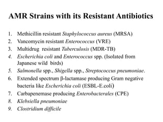 Effects of AMR strains on human metabolism | PPTX