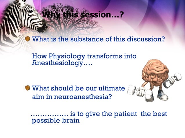 Effects Of Anesthetics On Cerebral Blood Flow | PPT