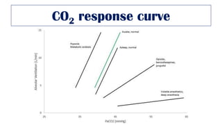 Co2 Response Curve Anesthesia