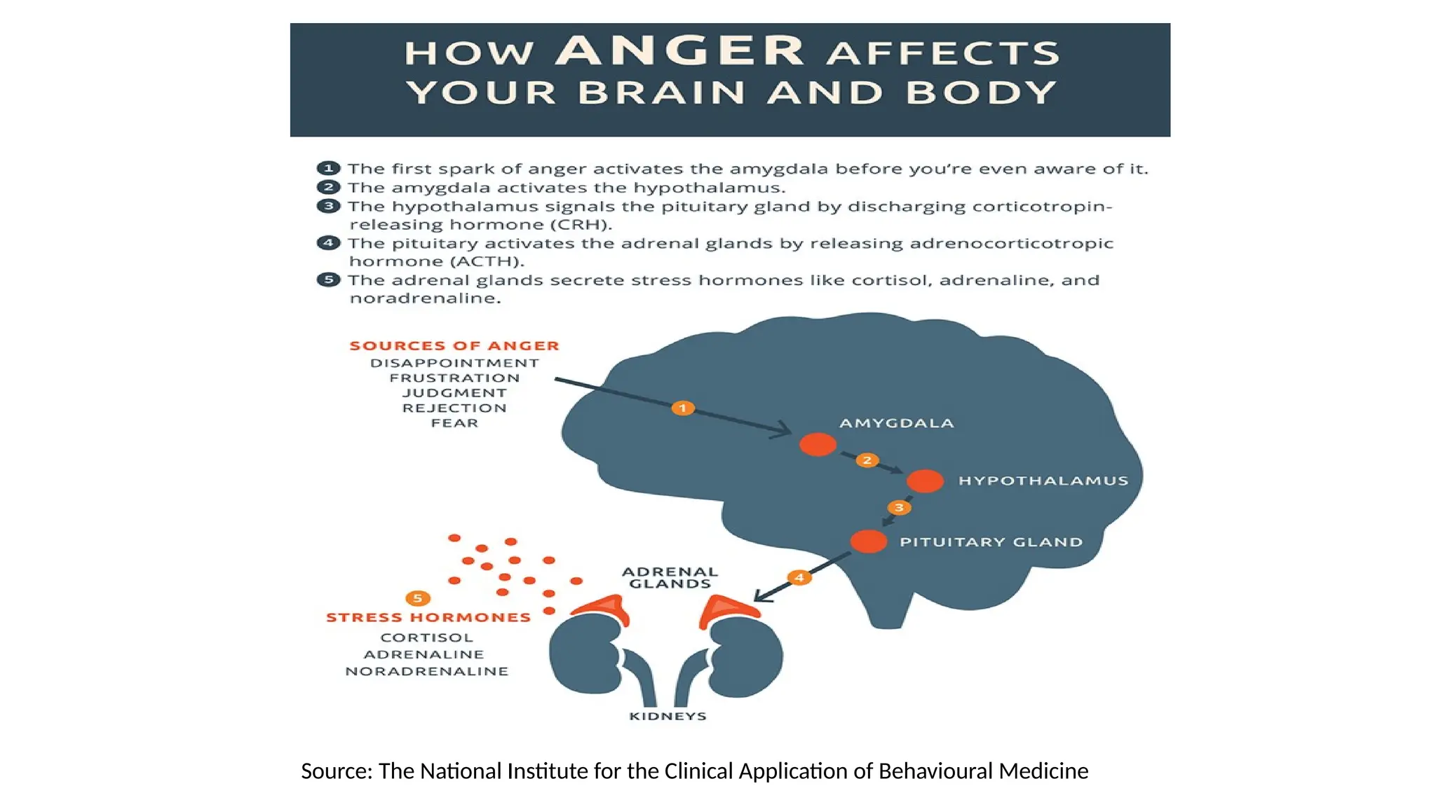 Effects of Anger and Anger management at workplace .pptx
