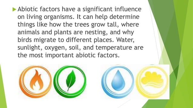 Effects of Changes in Abiotic Factors on the.pptx