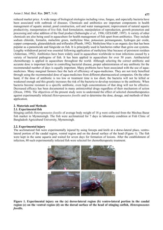 Effects of chemotherapeutics against experimentally injured stinging ...