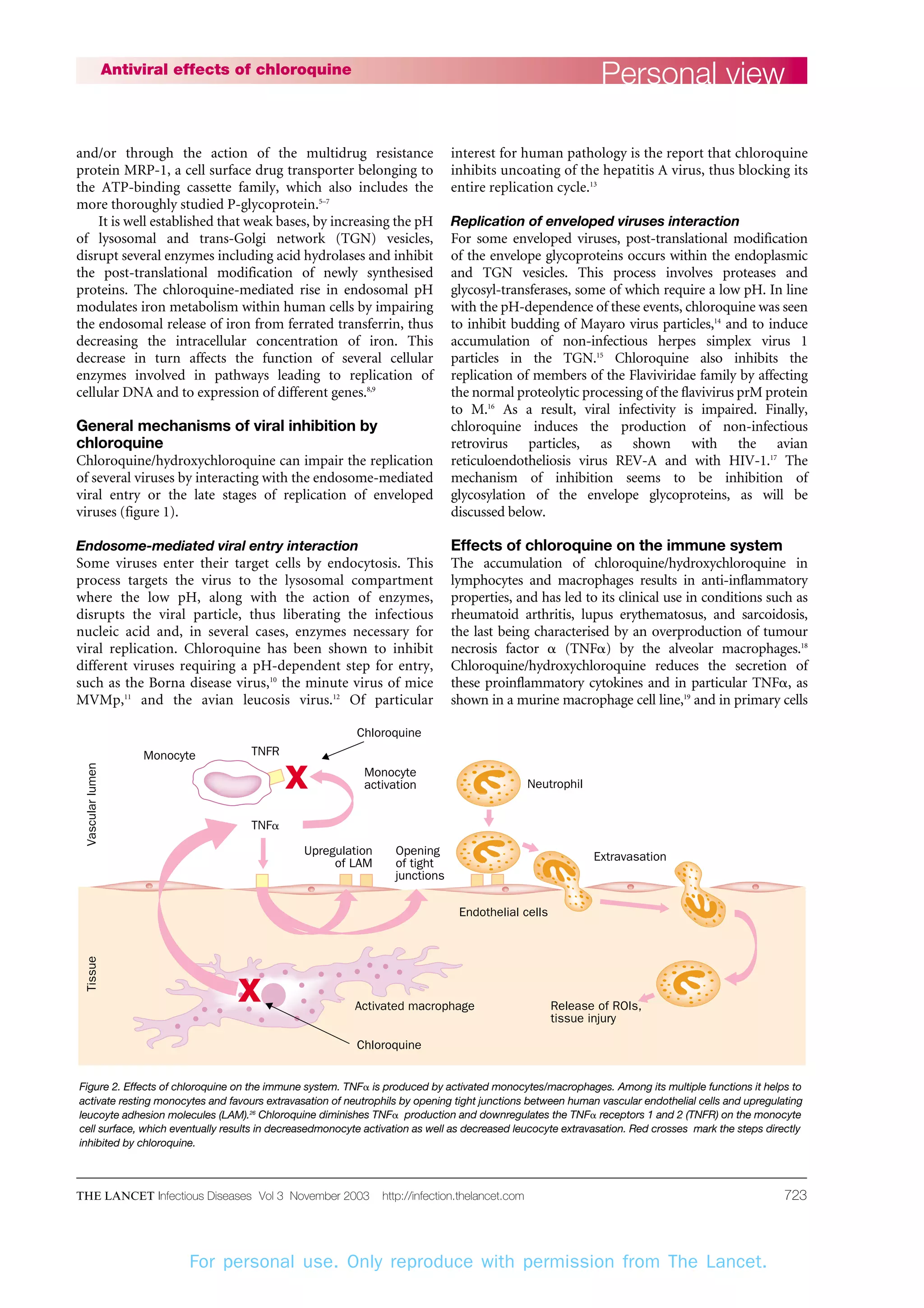 Effects of chloroquine on viral infections | PDF