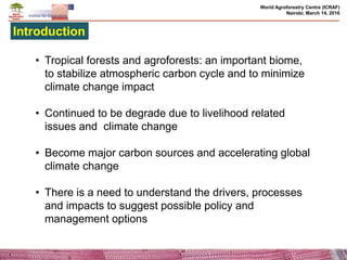 Effects of climate change and deforestation on potential of carbon ...