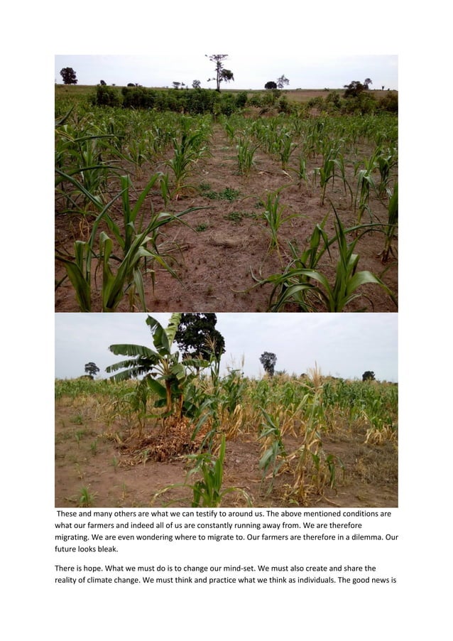 Effects of climate change on sustainable agriculture. by kwamee kwame | PDF