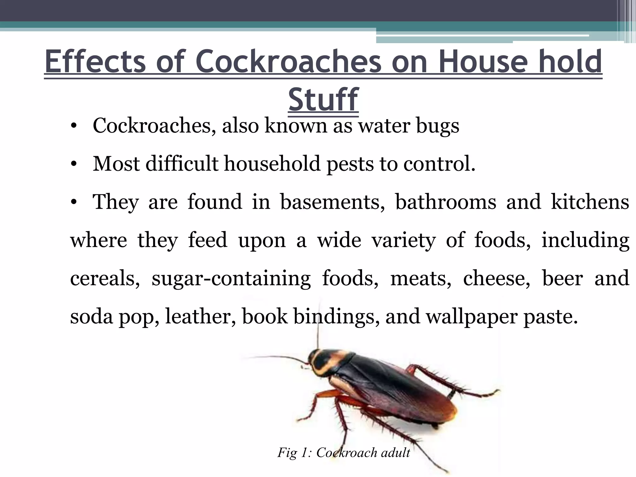 Effects of cockroaches on house hold stuff | PPT