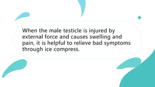 Effects of cold compress on epididymitis | PPT