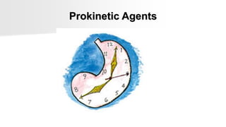 Effects of contracting and relaxing drugs on the digestive system | PPT