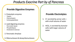 Effects of deficiency of exocrine pancreatic secretion | PPTX