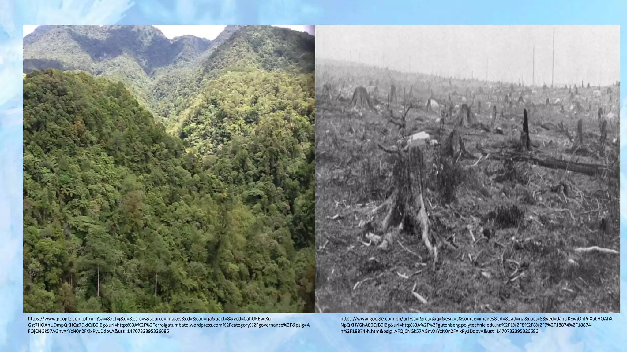 Effects of deforestation science 6 ni ron valeroso | PPT