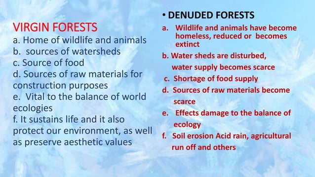 Effects of deforestation science 6 ni ron valeroso | PPT