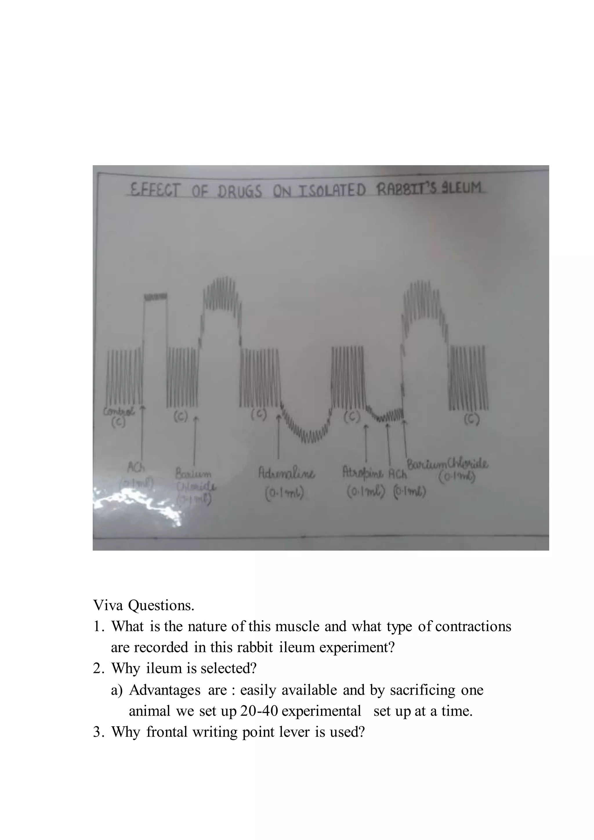 Effects of drugs on rabbit ileum | DOCX