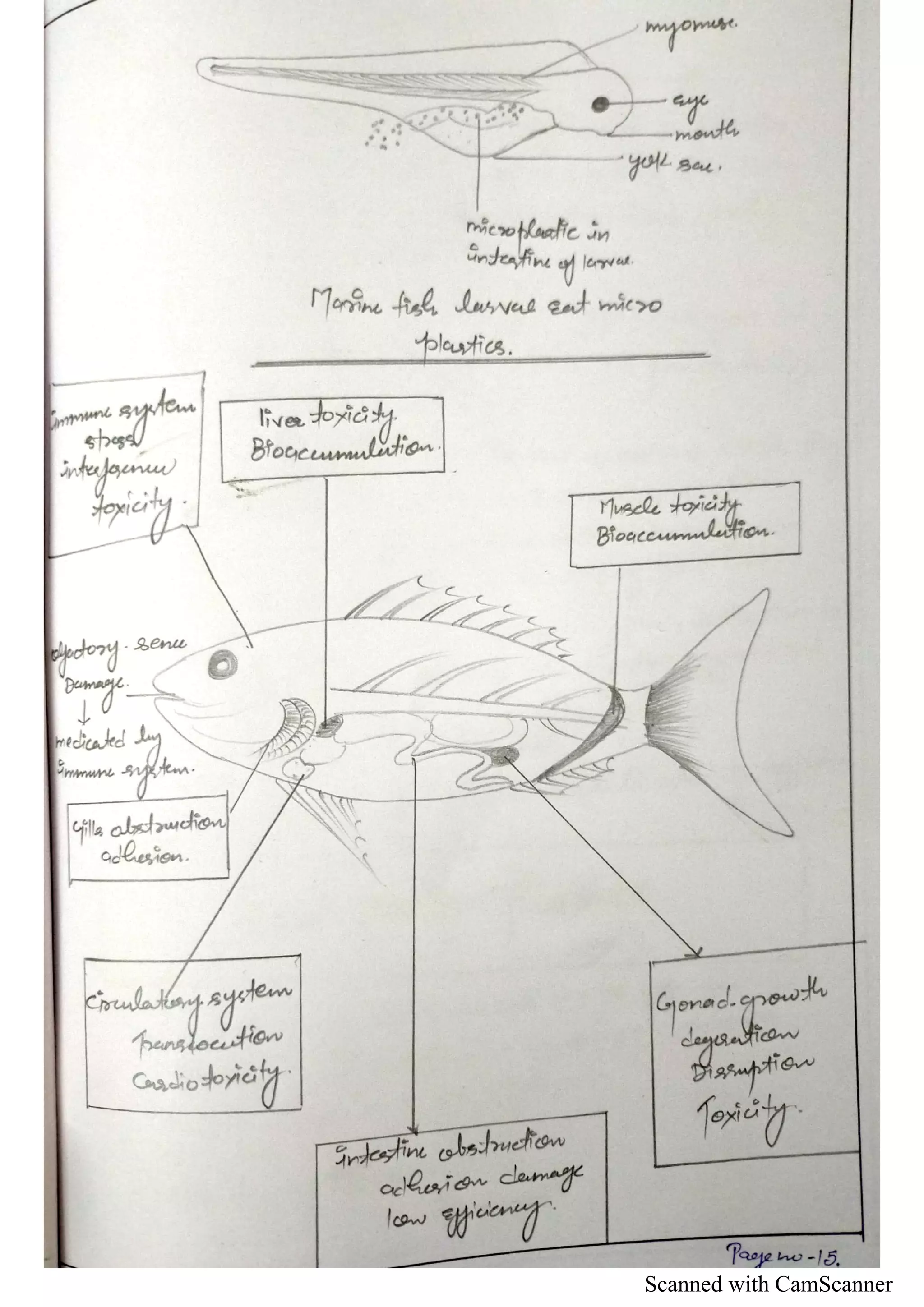 Effects by environment on eggs and larvae | PDF
