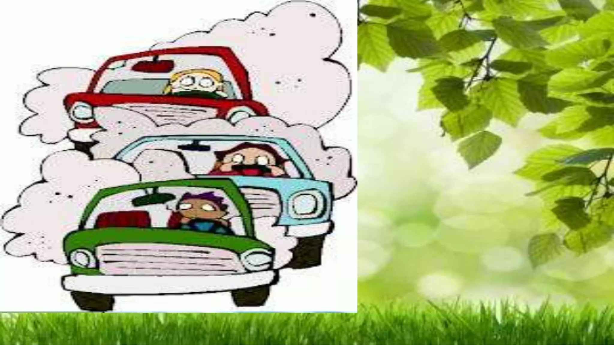 Effects of environmental changes | PPTX