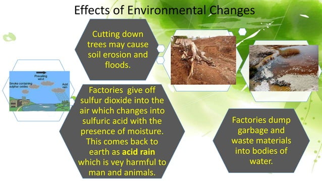 Effects of environmental changes | PPTX