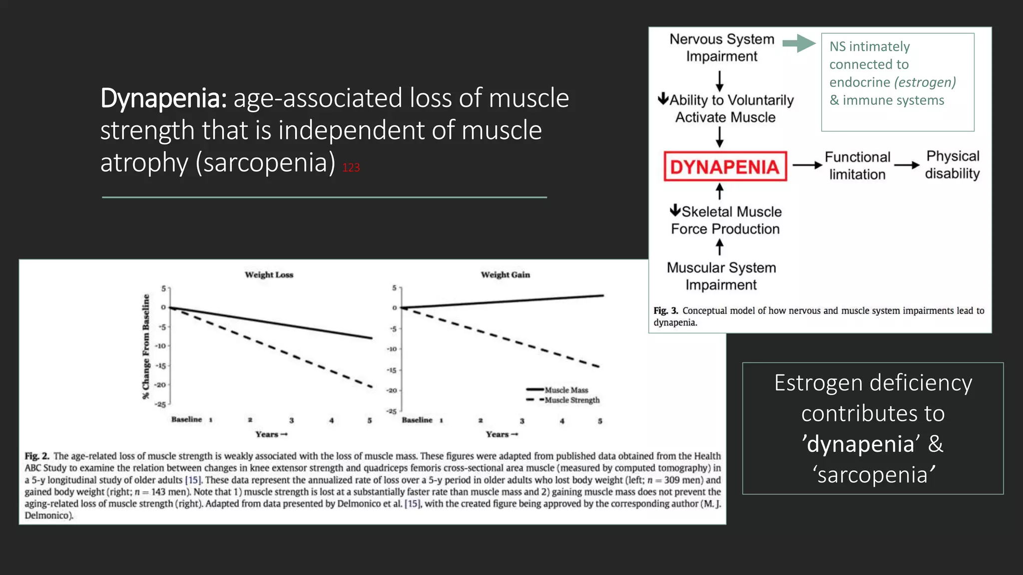 Effects of Estrogen on Female Muscle and Tendon | PPTX