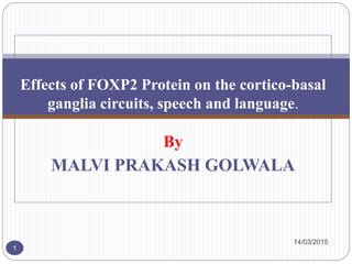 FoxP2 and language | PPTX | Brain and Nervous System Disorders ...