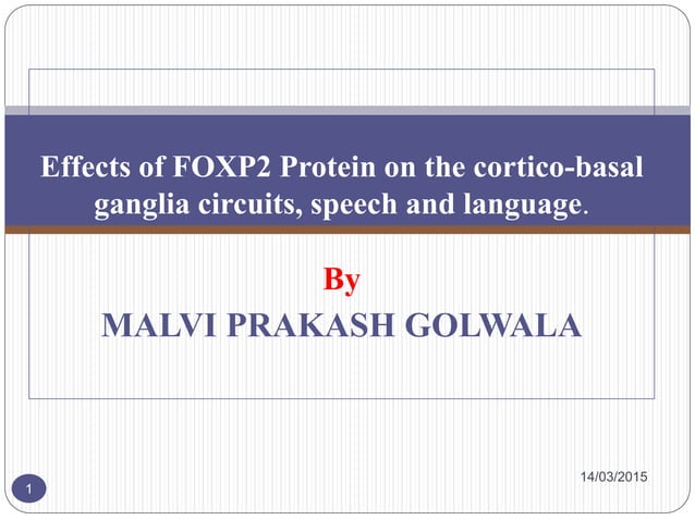 FoxP2 and language | PPTX | Brain and Nervous System Disorders ...