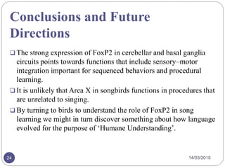FoxP2 and language | PPTX | Brain and Nervous System Disorders ...