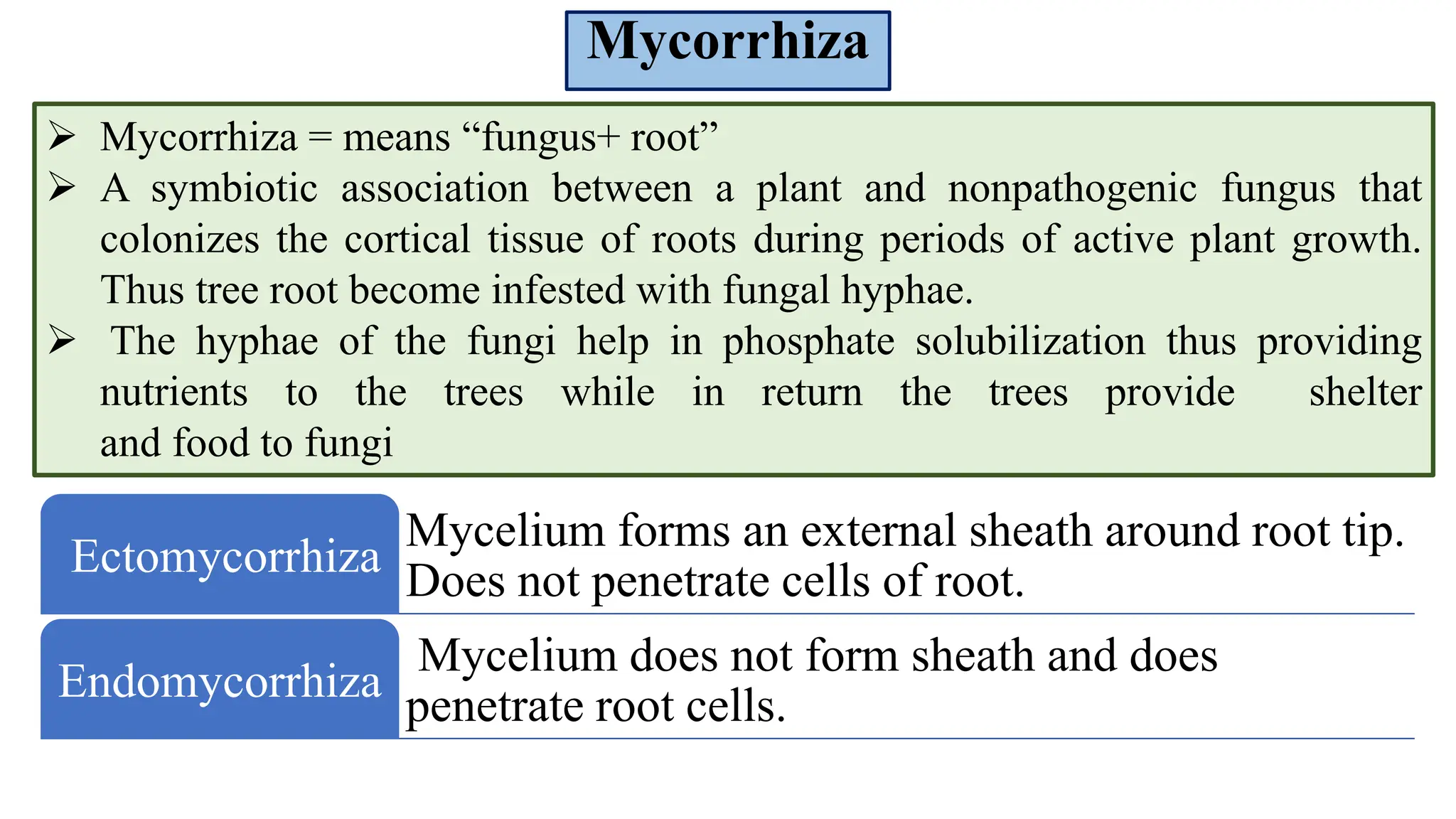 Effects of fungal interaction with host plant and.pptx