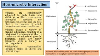 Effects of fungal interaction with host plant and.pptx
