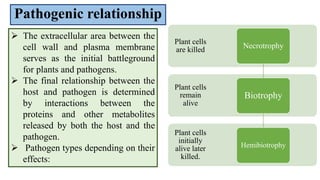 Effects of fungal interaction with host plant and.pptx