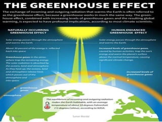 Effects of global worming | PPTX