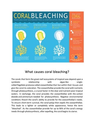 Effects of Global Warming | DOCX