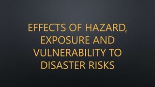 Effects of Hazard, Exposure and Vulnerability to Disaster Risks and ...