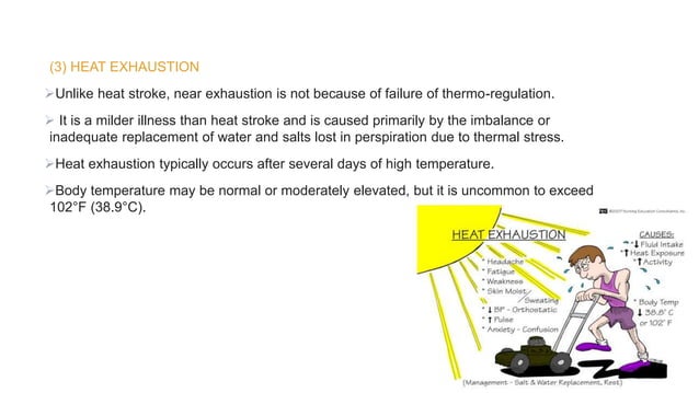 EFFECTS OF HEAT STRESS-HEAT STROKE, HEAT EXHAUSTION | PPTX | Skin and ...