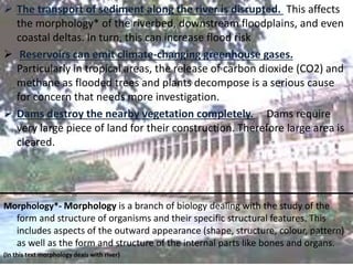 Effects of human activities on organisms | PPTX
