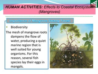 Effects of human activities to coastal ecosystem | PPTX