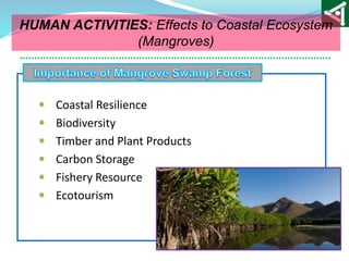 Effects of human activities to coastal ecosystem | PPTX
