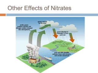 Effects Of Industrial Emissions | PPT