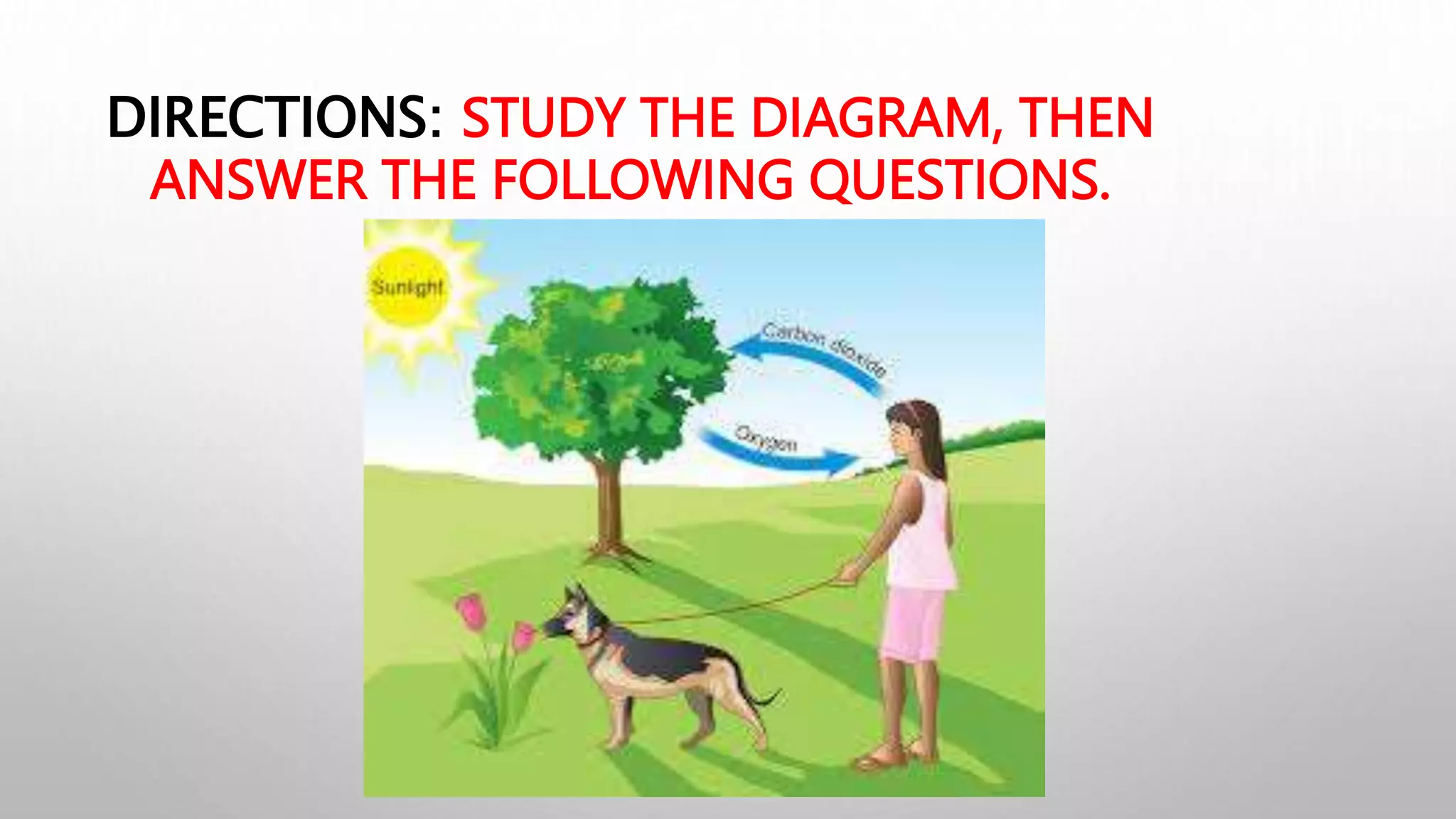 Effects of Interaction grade 4.pptx