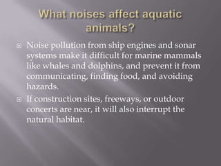 Effects Of Noise Pollution On Aquatic Animals | PPTX