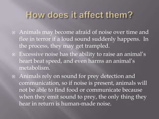 Effects Of Noise Pollution On Aquatic Animals | PPTX