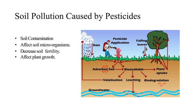 Effects of pesticides on environment | PPTX