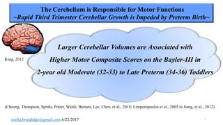 Effects of preterm birth on motor skills – part I | PPTX | Pregnancy ...