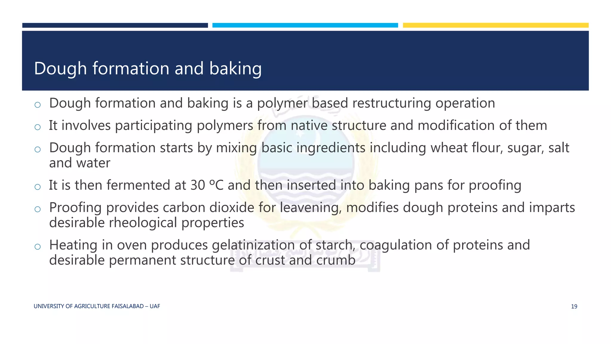 Effects of processing on food microstructure | PPTX
