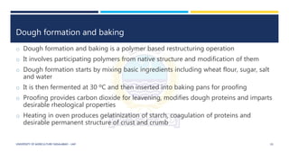 Effects of processing on food microstructure | PPT