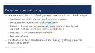 Effects of processing on food microstructure | PPT