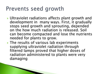 Effects of radiations on plants | PPTX