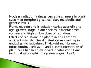 Effects of radiations on plants | PPTX