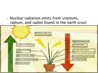 Effects of radiations on plants | PPTX