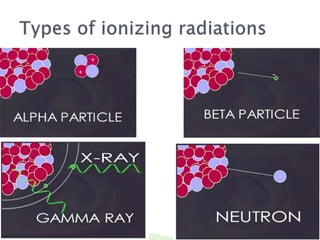 Effects of radiations on plants | PPTX